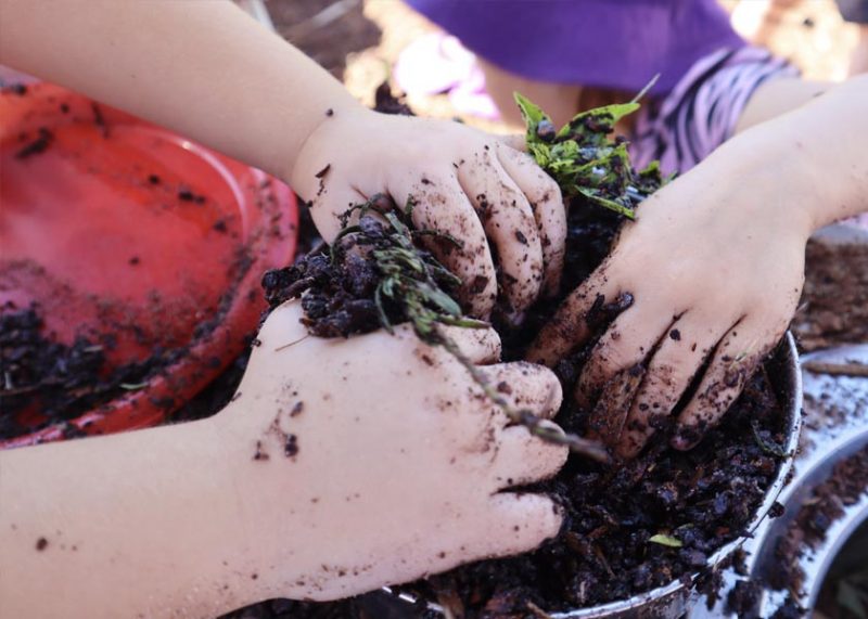 About - Bees Nees Early Learning Branxton | Hunter Valley Preschool