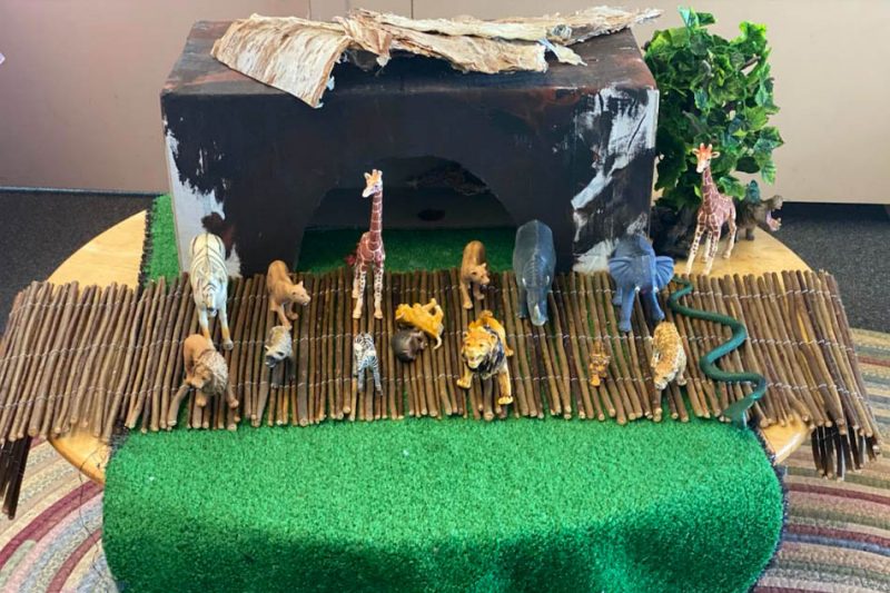 Learning Environments - Bees Nees Early Learning Branxton