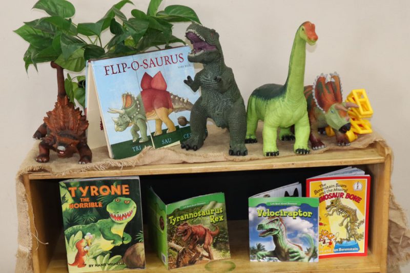 Learning Environments - Bees Nees Early Learning Branxton