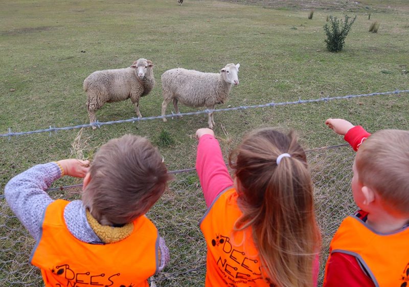 Bees Nees Early Learning | Preschool - Branxton, Hunter Valley